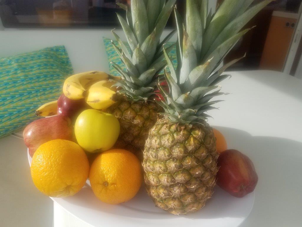 Sailing Charter Catamaran ZENITH - Salina 48' | San Blas Sailing